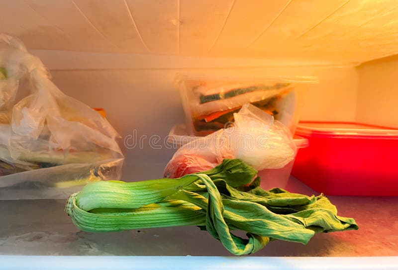 A Dry and Shriveled Mustard Greens in the Refrigerator, Dried ...