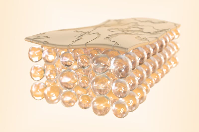 Structure of Damaged Skin 3d Render. Anatomy of Old Skin with Wrinkles ...