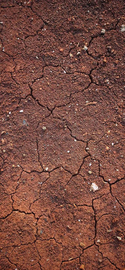 The Dry Soil stock image. Image of earth, dryness, plant - 179518461
