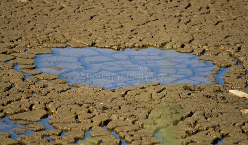 Dried Mud Puddle Stock Images - Download 81 Royalty Free Photos