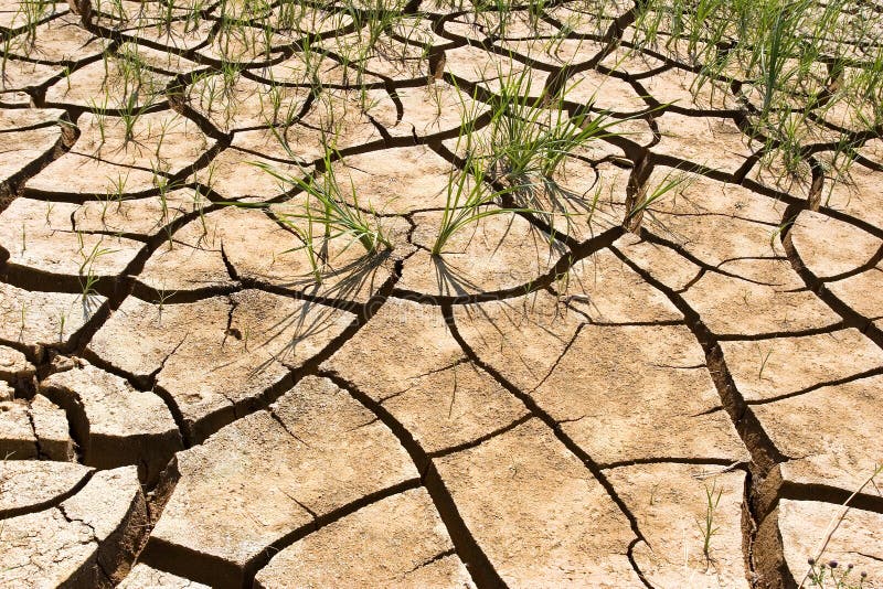 Dry soil stock photo. Image of land, autumn, nature, field - 3261874