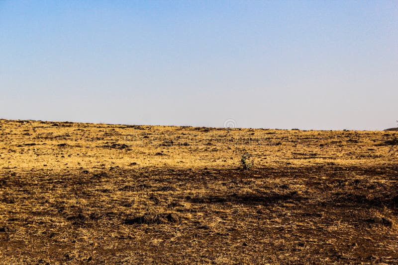Dry Soil of an Abandoned Field Stock Photo - Image of field, soil ...
