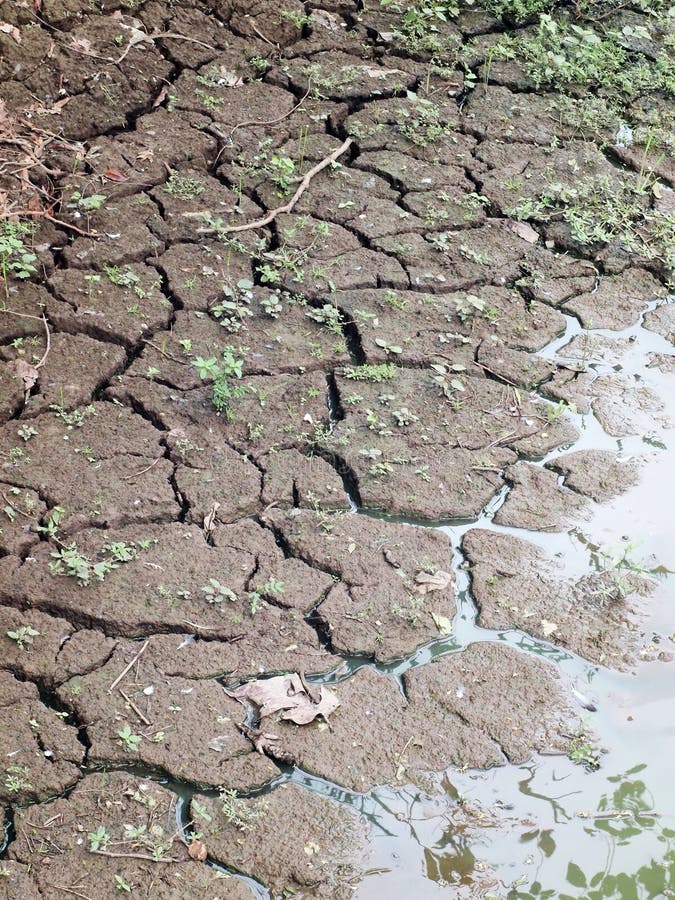 Dry soil stock image. Image of summer, environmental - 72925927