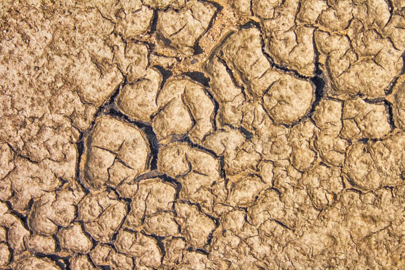 Dry soil background stock photo. Image of crack, extreme - 94748770