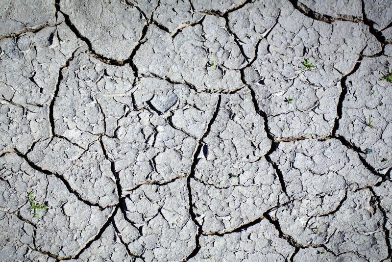 322 Dead Soil Cover Stock Photos - Free & Royalty-Free Stock Photos ...