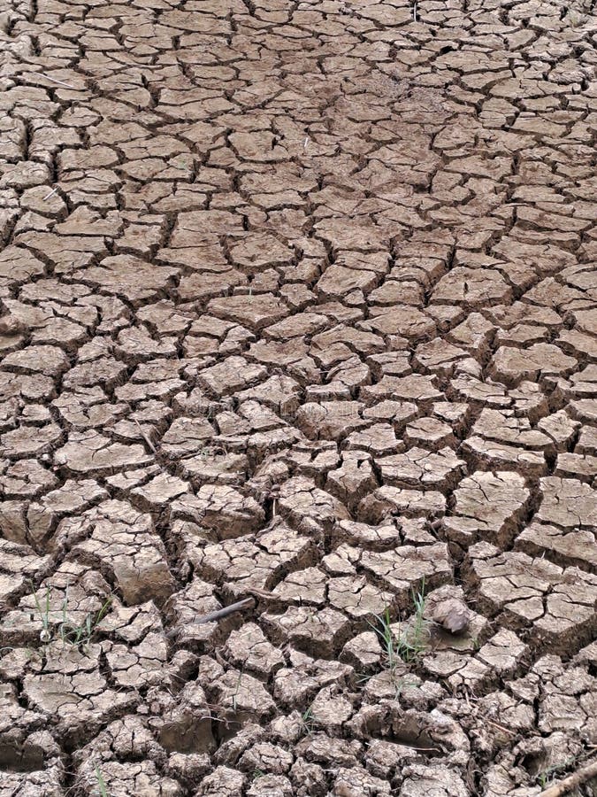 Dry soil damaged by summer stock photo. Image of pebble - 291803308