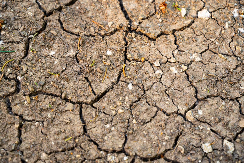 Dry soil and drought. stock photo. Image of drought - 249955110