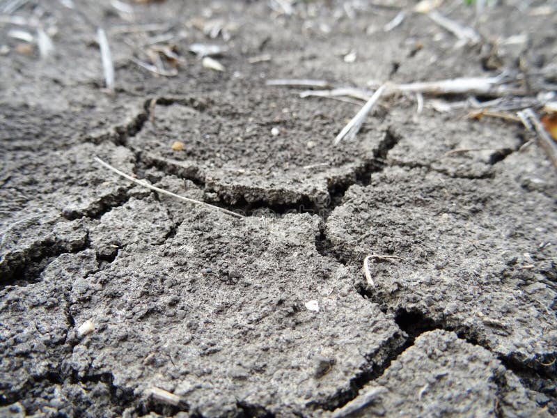 Dry Soil in the Field, the Consequences of Global Warming, Cracks in ...