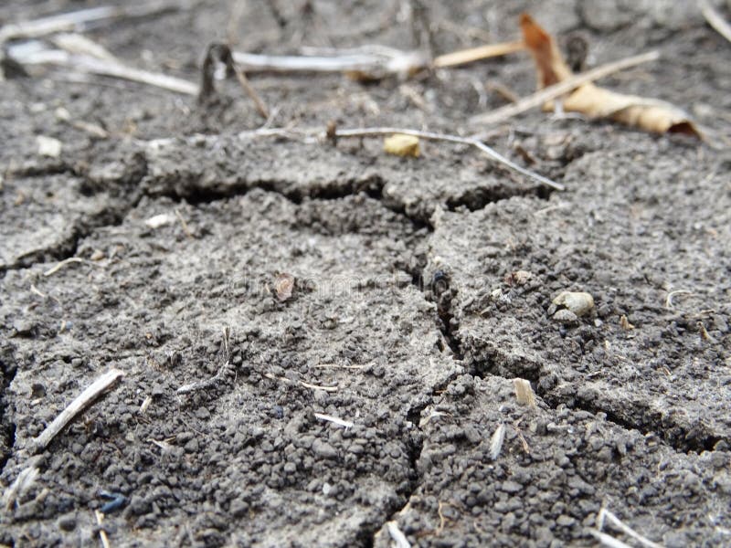 Dry Soil in the Field, the Consequences of Global Warming, Cracks in ...