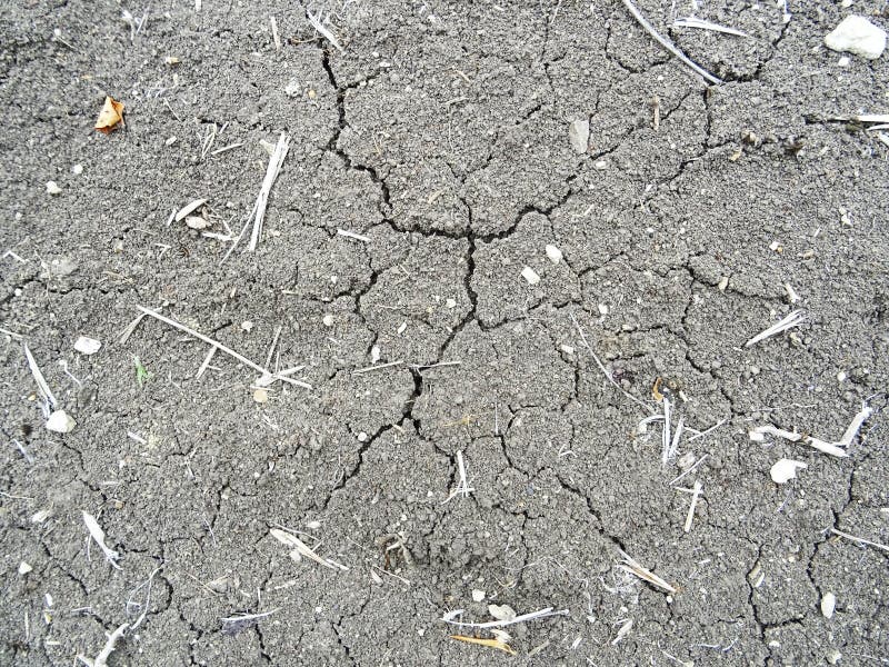 Dry Soil in the Field, the Consequences of Global Warming, Cracks in ...