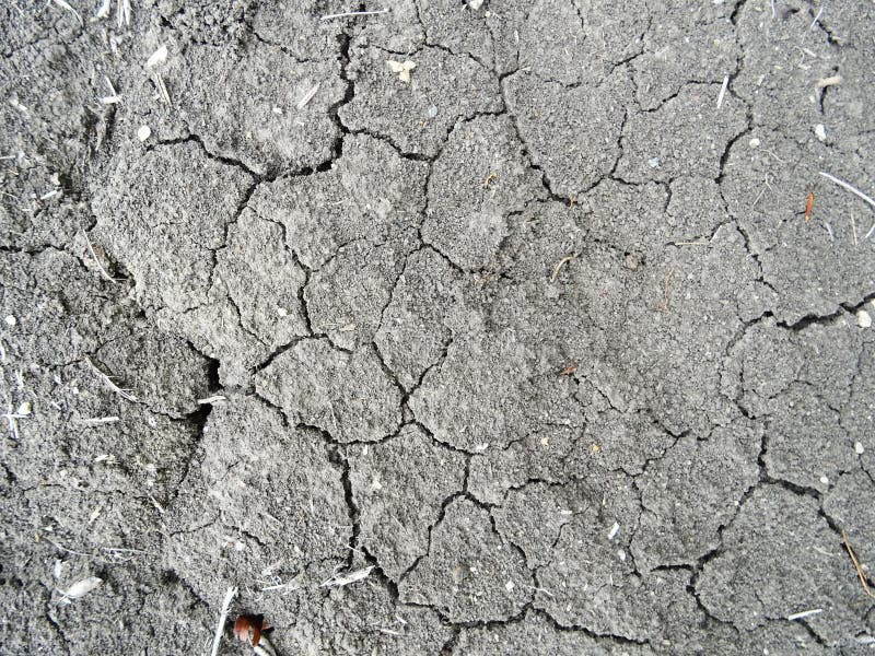 Dry Soil in the Field, the Consequences of Global Warming, Cracks in ...