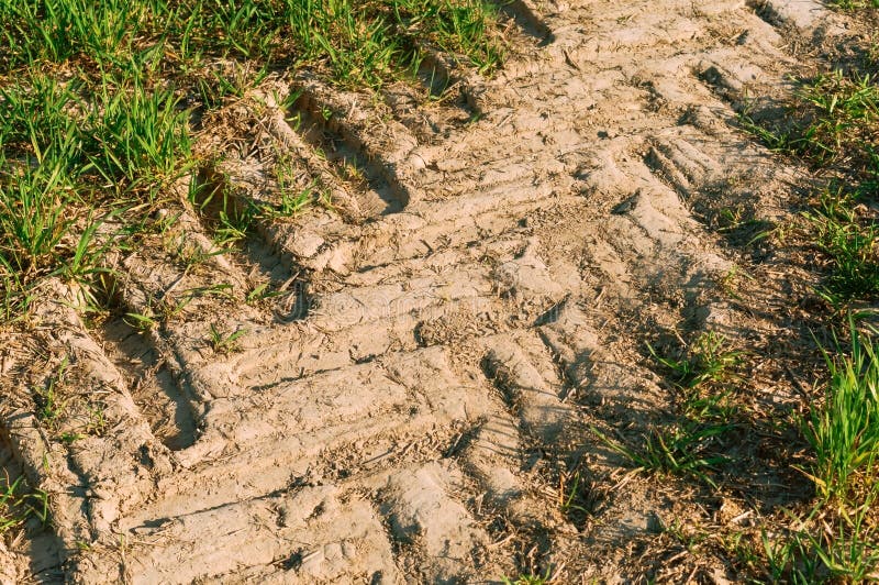Dry Soil in the Field, the Trace of the Tractor Stock Image - Image of ...