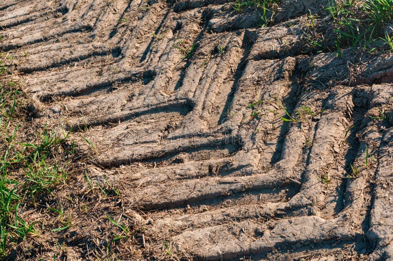 Dry Soil in the Field, the Trace of the Tractor Stock Photo - Image of ...