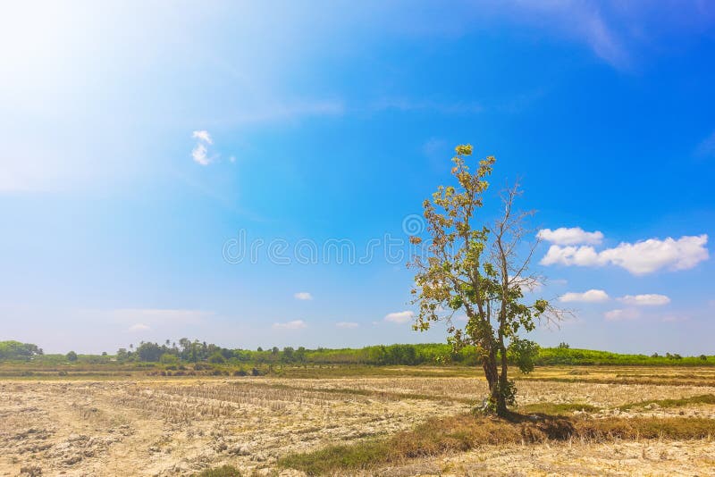 Dry Soil With Sky Background Stock Photo - Image of outdoor, pattern ...