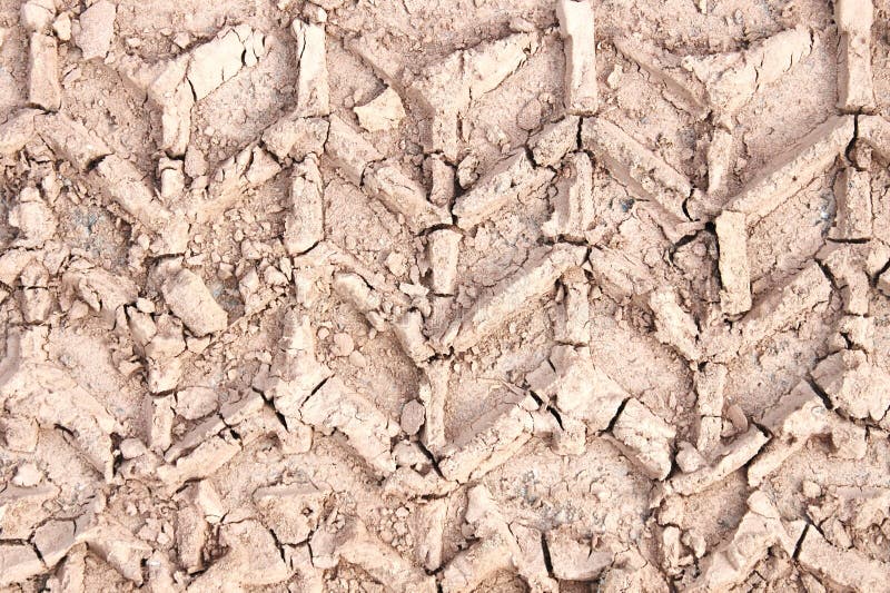 Dry soil texture stock photo. Image of detail, barrenness - 21255422