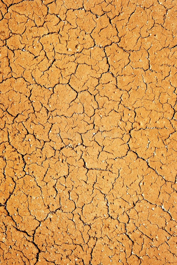 Dry Soil Texture Picture. Image: 5865343