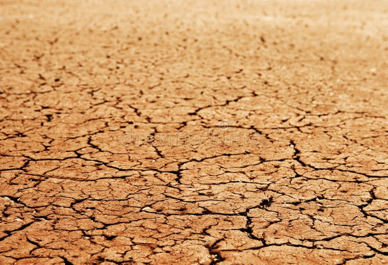 Dry soil texture stock photo. Image of desert, disaster - 7772760