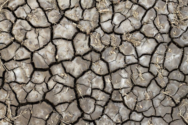 Dry soil texture stock photo. Image of dead, climate - 103308064
