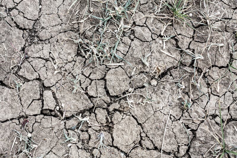 Dry soil texture stock photo. Image of land, rough, abstract - 103761312