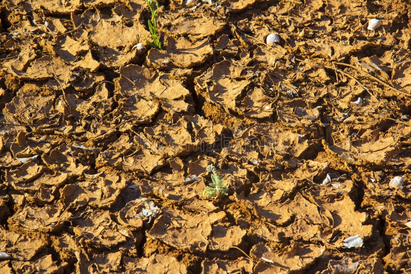 Dry Soil Texture. Land after Drought Stock Image - Image of agriculture ...