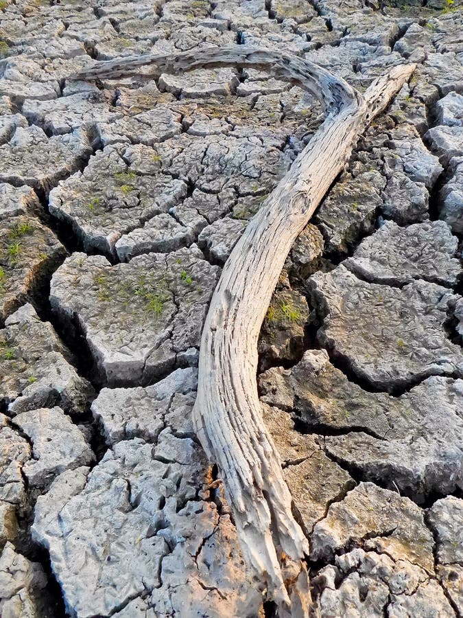 Dry soil texture wallpaper stock image. Image of texture - 72448725