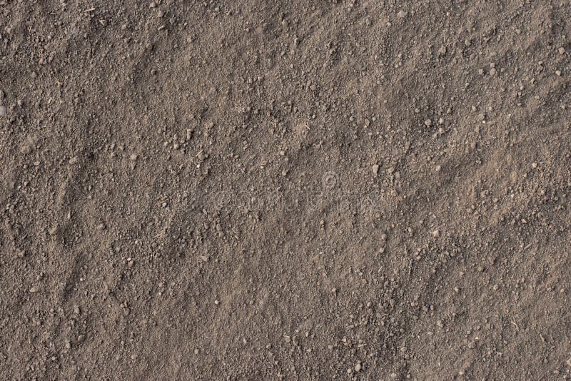 The Dry Soil Turned into Dust, Soil Texture Background Stock Photo ...