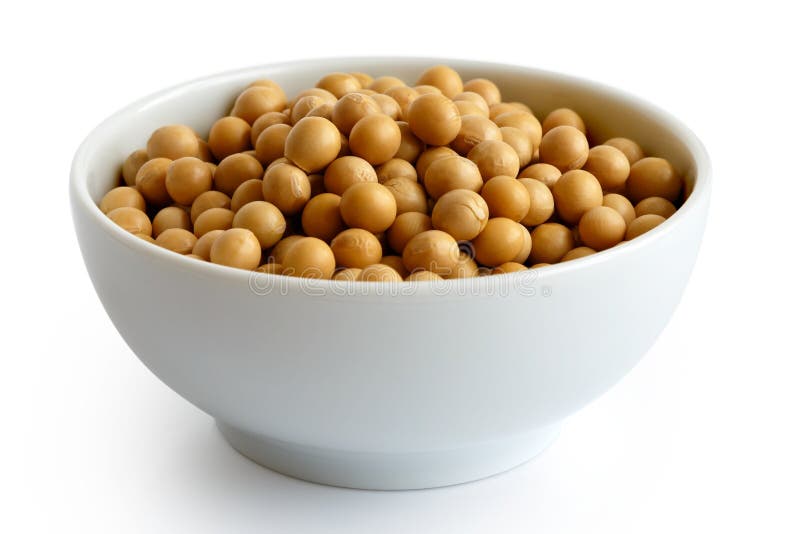 Dry soya beans stock image. Image of seed, dish, bowl - 95736163