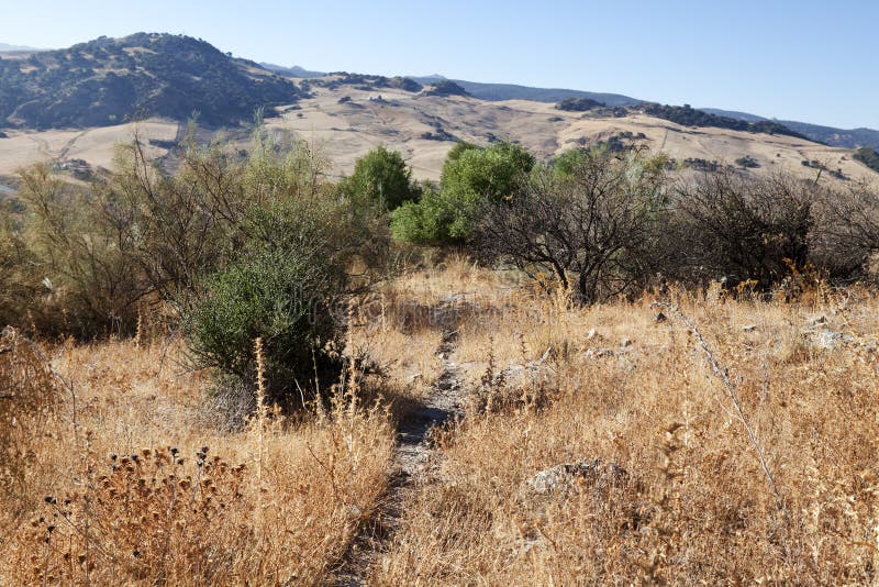Dry Spanish highlands stock image. Image of spain, landscape - 27241087