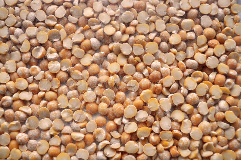 Dry Split Yellow Peas Scattered in a Dense Layer Stock Photo - Image of ...