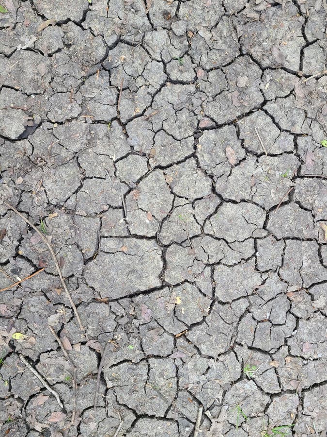 Dry spring cracked land stock photo. Image of land, cracks - 243434132