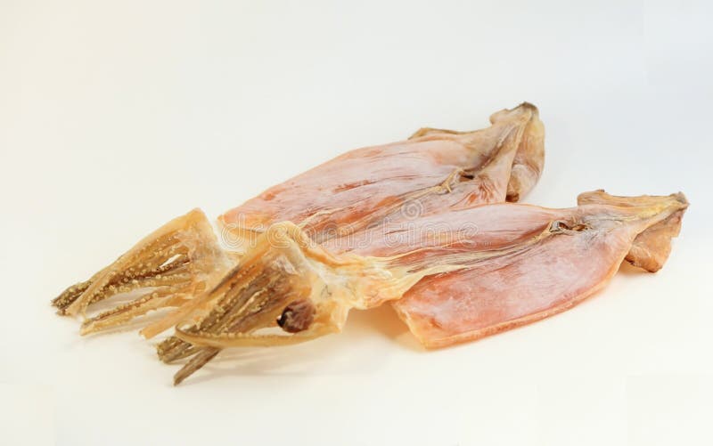 Dried Cuttlefish Isolated on White Background Stock Photo - Image of ...
