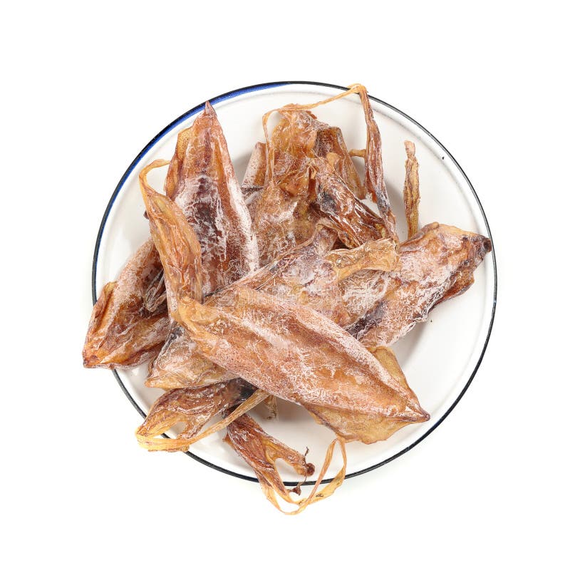 Dry squids stock photo. Image of white, food, uncooking - 47977920