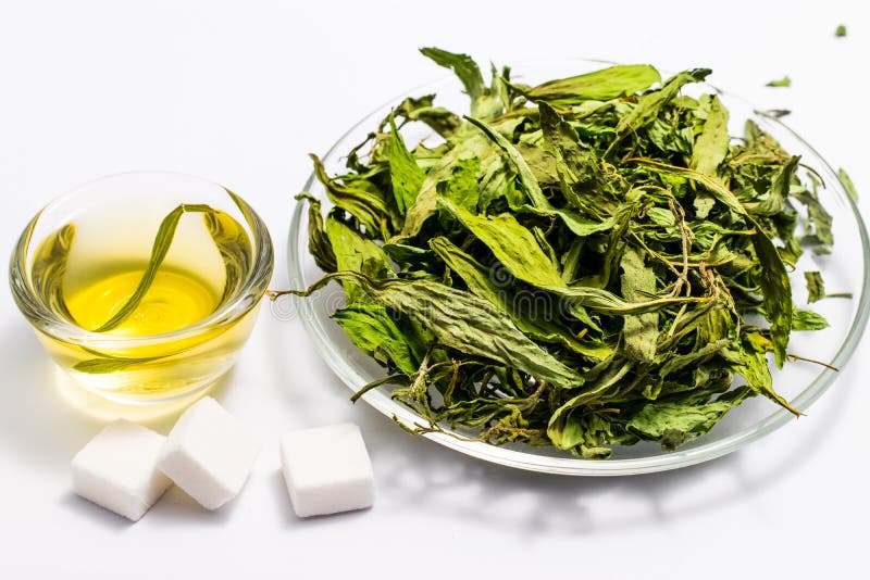 Dry stevia leaves stock photo. Image of studio, dark - 146520490