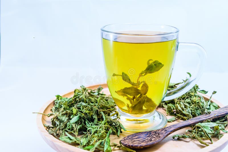 Herbal Stevia Tea stock image. Image of freshness, closeup - 181583307