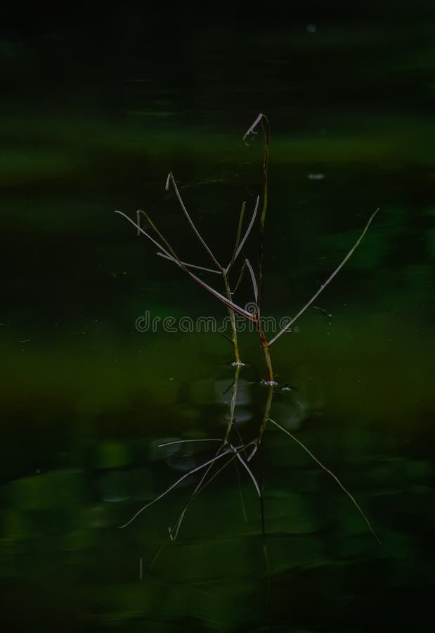 Shadowstick Stock Photos - Free & Royalty-Free Stock Photos from Dreamstime