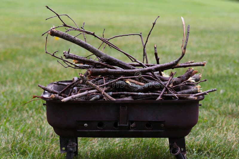 Dry Sticks Stacked on the Grill and Prepared for Campfire Stock Photo ...