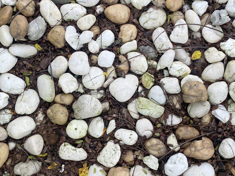 Dry stone on the ground stock image. Image of material - 258672983