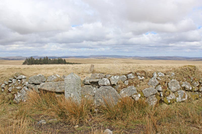 Dry Stone Wall on Dartmoor, Devon Stock Photo - Image of summer, nature ...