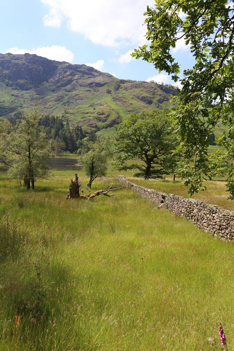 218 Cumbrian Stone Wall Stock Photos - Free & Royalty-Free Stock Photos ...