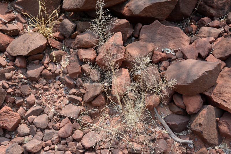 Dry Stones on the Surface of the Desert Land. View from Above Stock ...