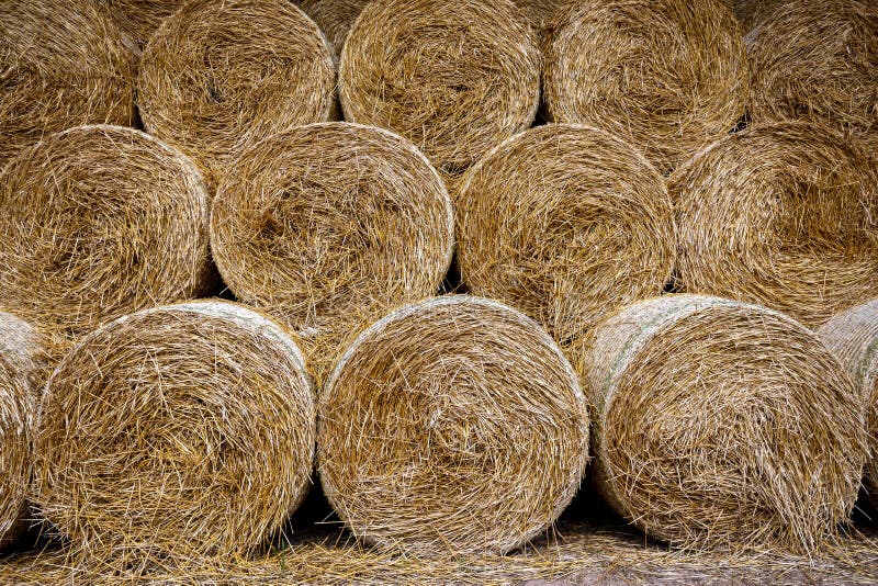 Dry Straw Bales Texture Folded in Circles Stock Photo - Image of autumn ...