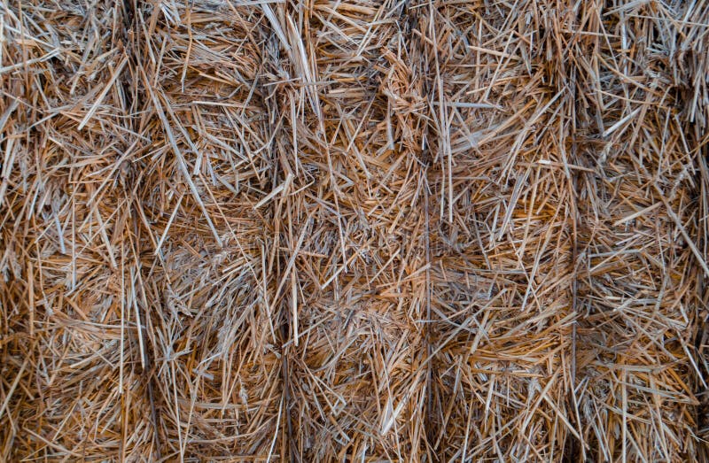 Dry Straw Close-up for Background and Wallpaper Stock Image - Image of ...