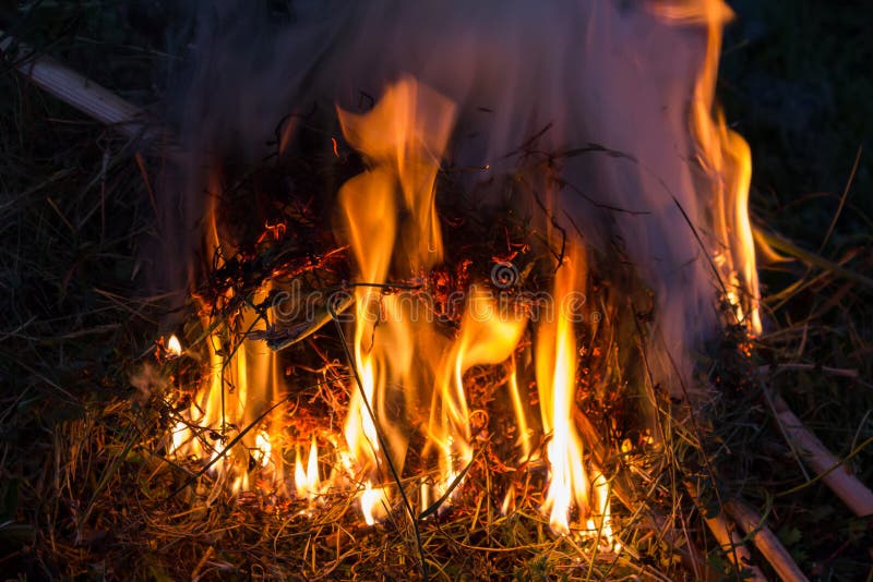 Brushwood fire stock photo. Image of flare, house, expansion - 25391398