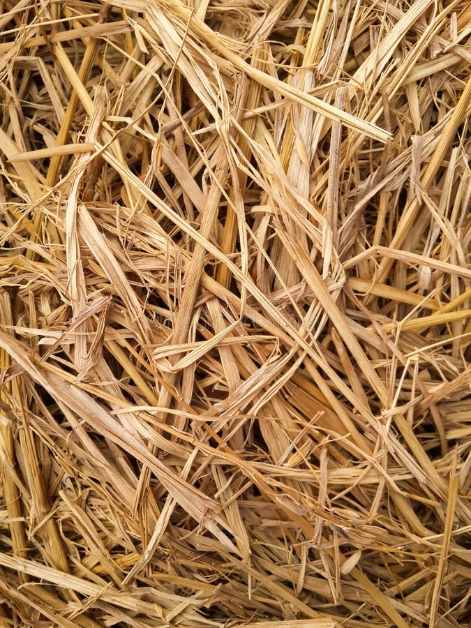 Dry straw stock image. Image of hayrick, nature, scene - 74398477