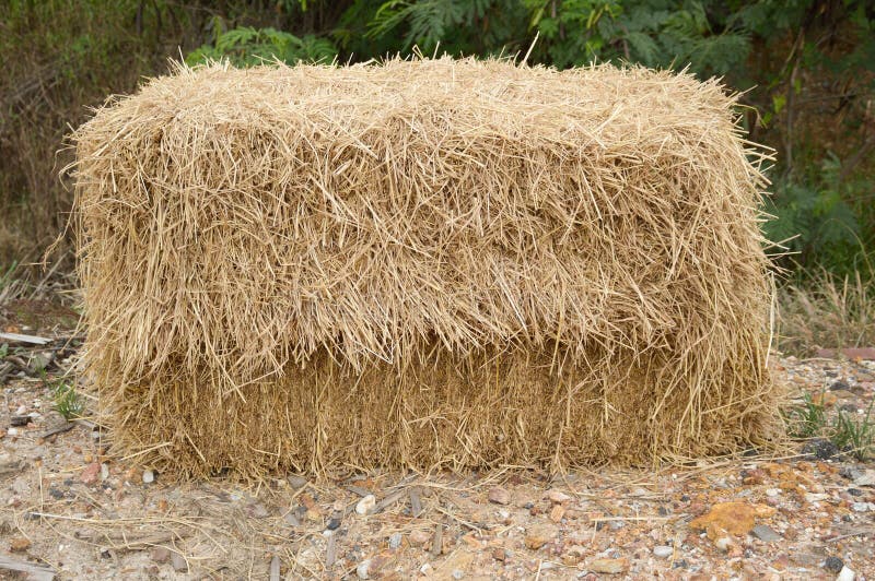 Dry straw stock image. Image of straw, wood, outdoors - 74398567