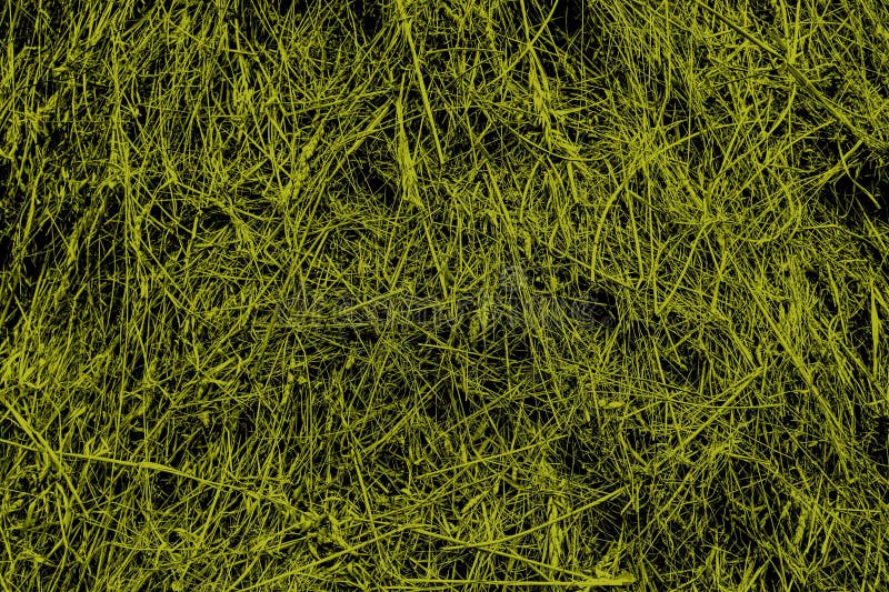 Dry Straw, Hay Straw Yellow Background, Hay Straw Texture Stock ...