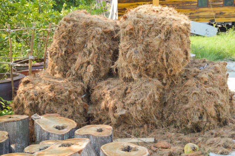 Dry straw stock photo. Image of country, stalk, rural - 66993482