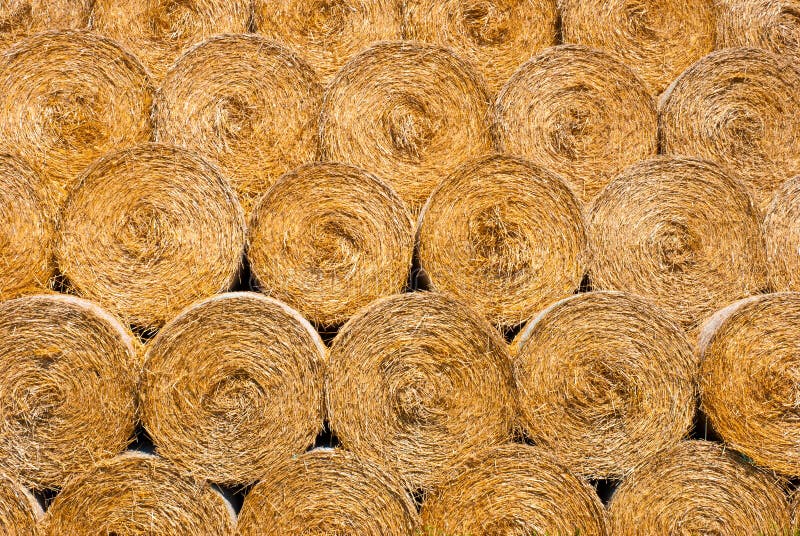 Dry straw texture stock image. Image of blue, bales, straw - 20861283