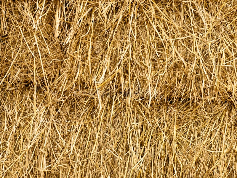 Dry Straw Texture Background Stock Image - Image of farming, plant ...