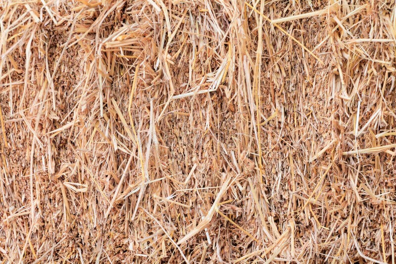463 Chaff Texture Photos - Free & Royalty-Free Stock Photos from Dreamstime